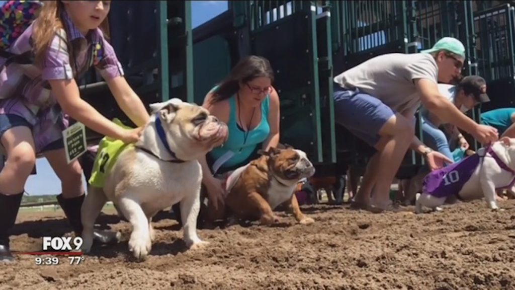 Man Wants More Family-Friendly Crowd To Come To Racetrack, Then He Has ...