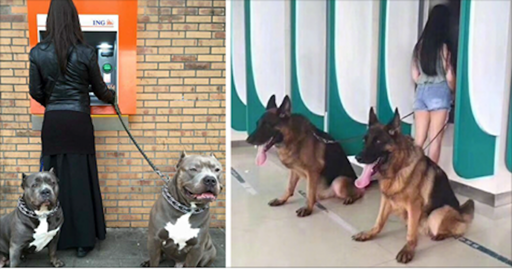 The Best ATM Withdrawal Defense (13 Pics)