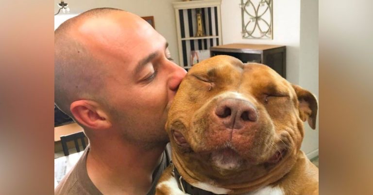 Pit bull can’t stop smiling after being rescued. These 10 photos say it all