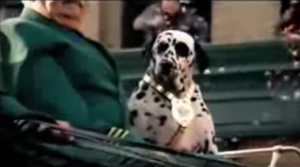 Stray Dog Becomes Big Hit In Classic Budweiser Super Bowl Commercial