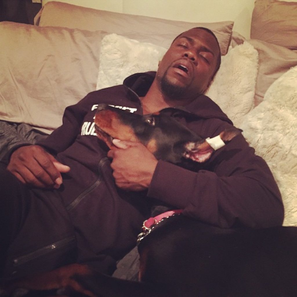 10 Celebrity Doberman Owners