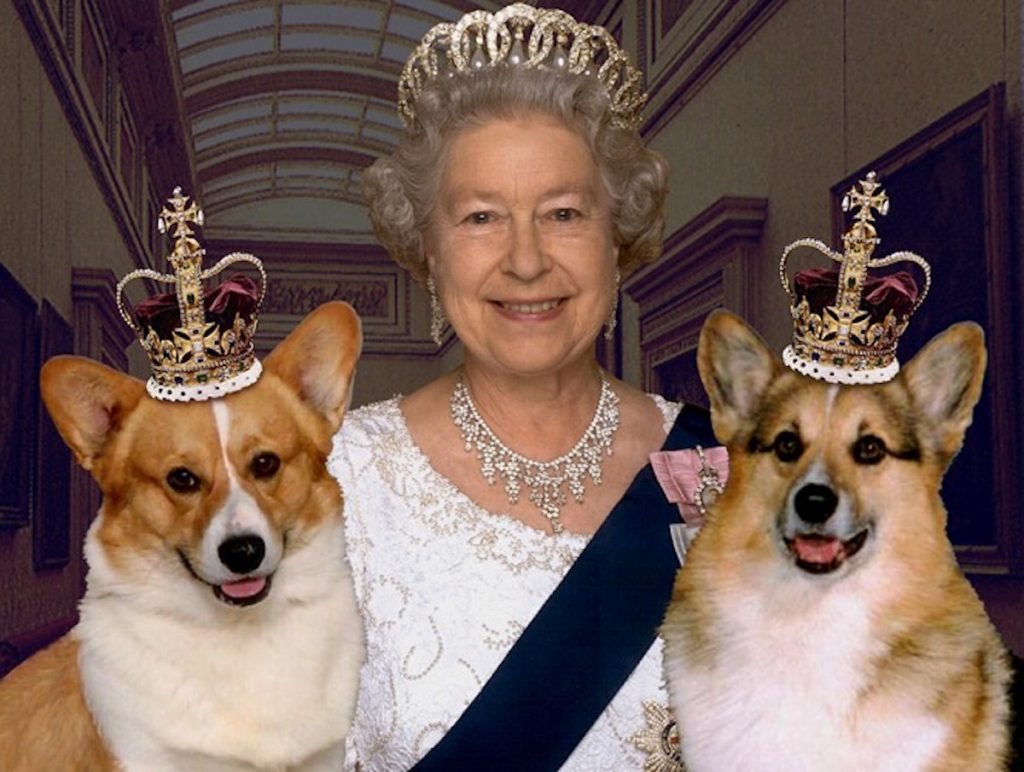10 Celebrity Corgi Owners