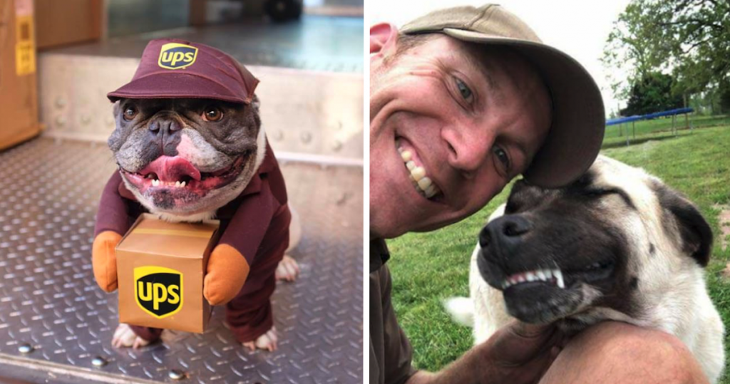 18 Of The Best Dog Photos UPS Drivers Have Taken On Their Routes