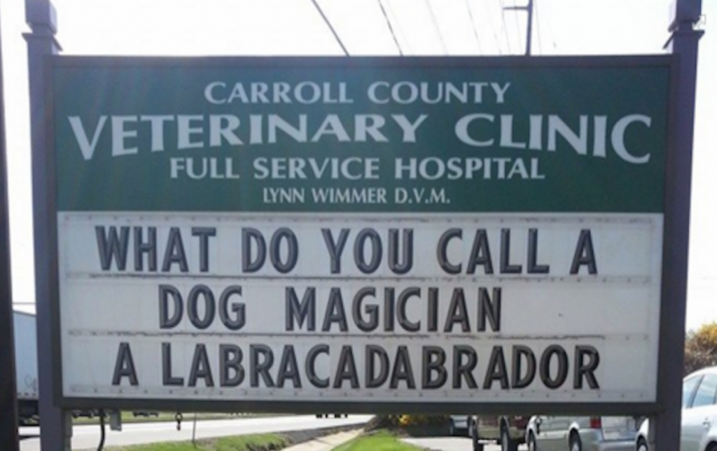 These Hilariously Clever Veterinarian Signs Will Have You In Stitches