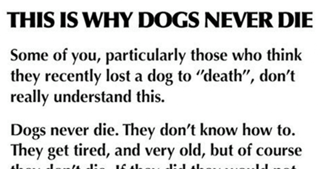 We were wrong all along — this is why dogs never actually die