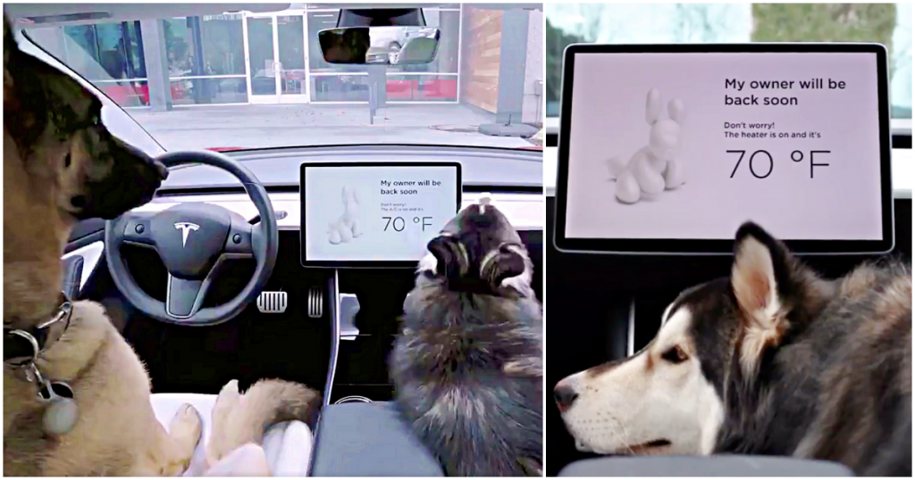 Tesla's ‘Dog Mode:’ Keeps Your Pups Cool, Lets Passersby Know They’re Ok