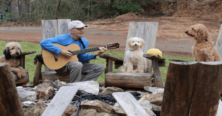 This Dog-Dedicated Campground Exclusively Caters To Dogs and Their ...