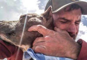 Man And His Dog Changed Each Other's Entire Lives And Worlds