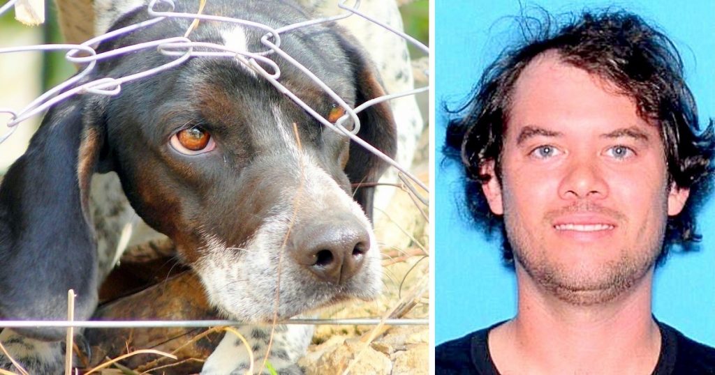 Shameless Monster Beats Pregnant Wife & Kicks Her Dog Repeatedly Before ...