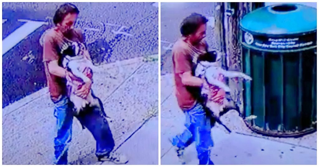 Man Carries French Bulldog To Garbage Can & Dumps Him In It On A Hot Day