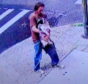 Man Carries French Bulldog To Garbage Can & Dumps Him In It On A Hot Day