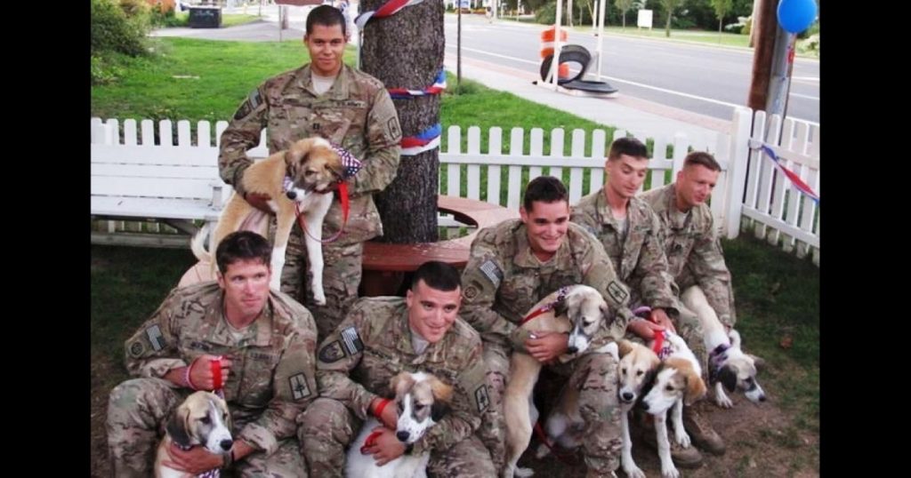 Stray Dogs Helped Save Their Sanity In War Zone, So Soldiers Made Them ...